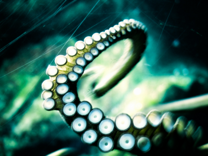 Interview: Žil pred 200 miliónmi rokov na Zemi obrovský inteligentný ...